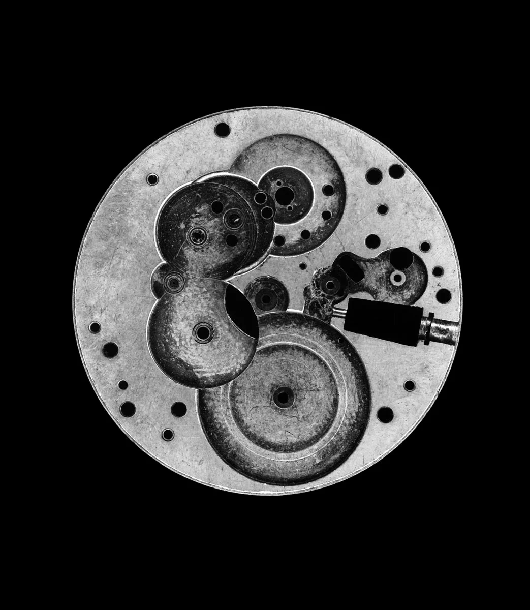 GARTH KNIGHT — ANGELINE COLLINGS ART