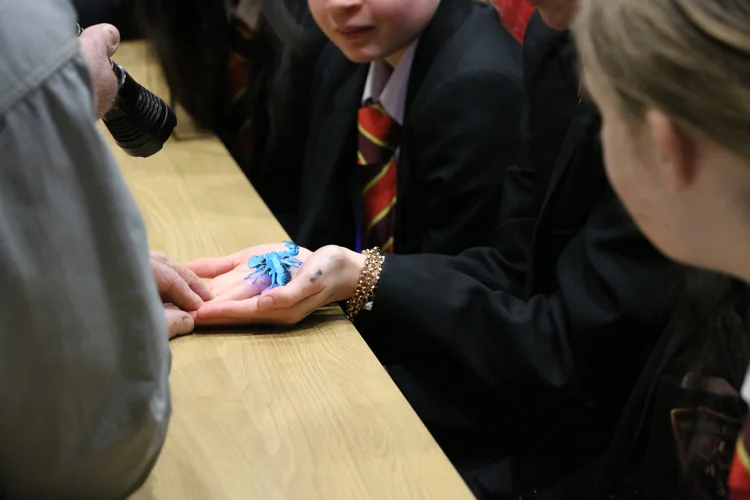 News — Highfields School, Wolverhampton