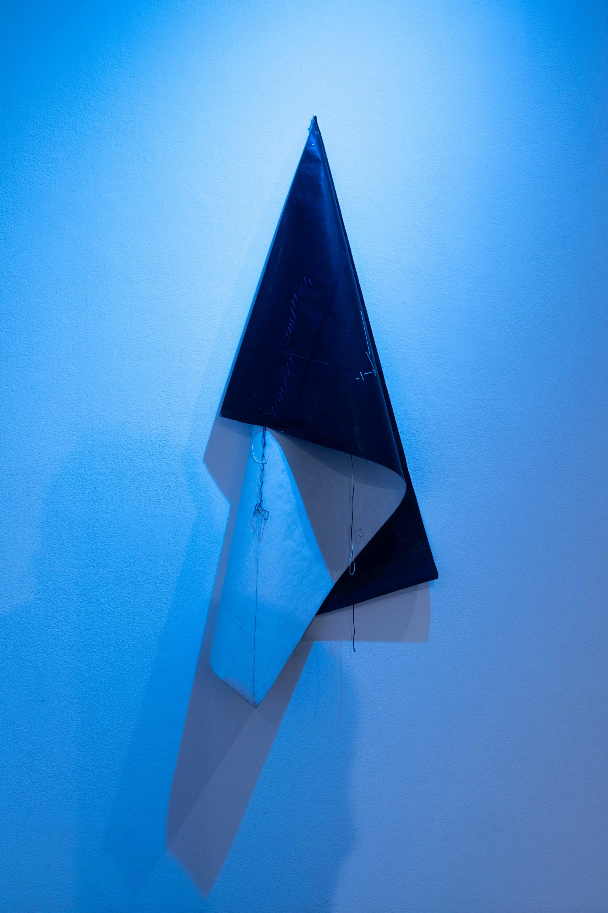 Keli Safia Maksud — CUE Art Foundation