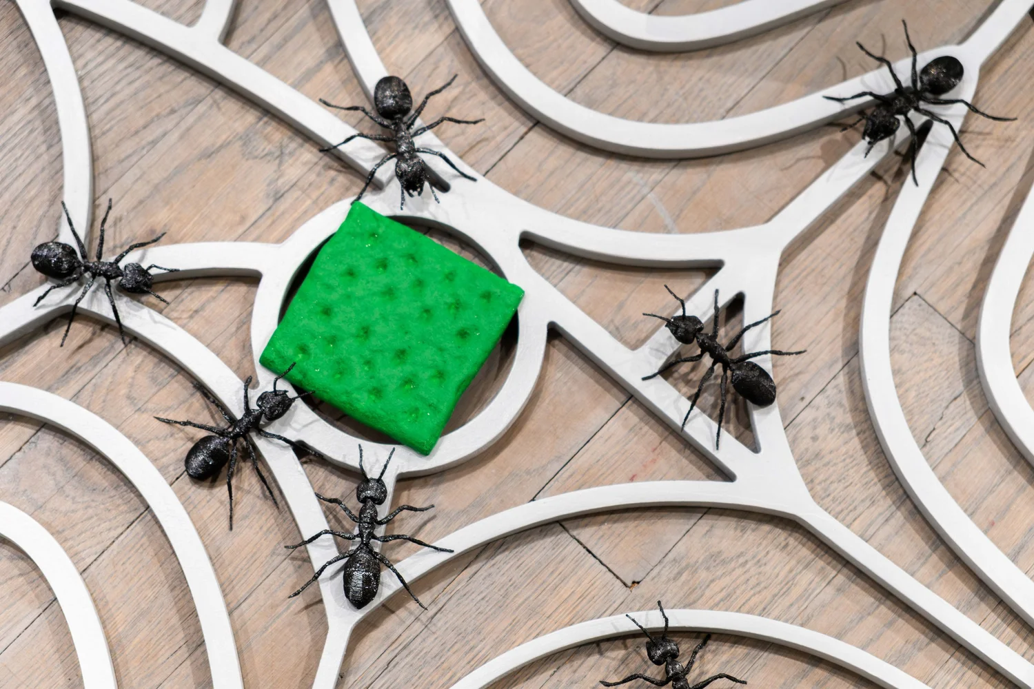 "A 'Bug' in The System" by Constanza Salazar — CUE Art Foundation