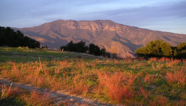 The Topa Topa Patio Takes Advantage of the Views — Meher Mount