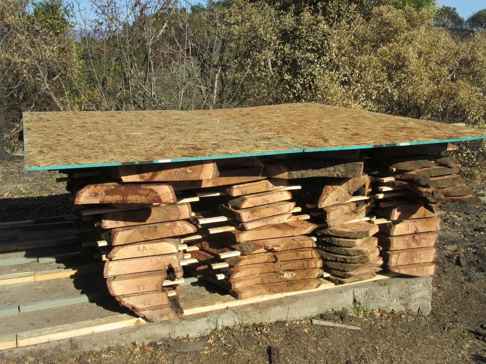 Baba's Tree - Saving the Fallen Wood — Meher Mount