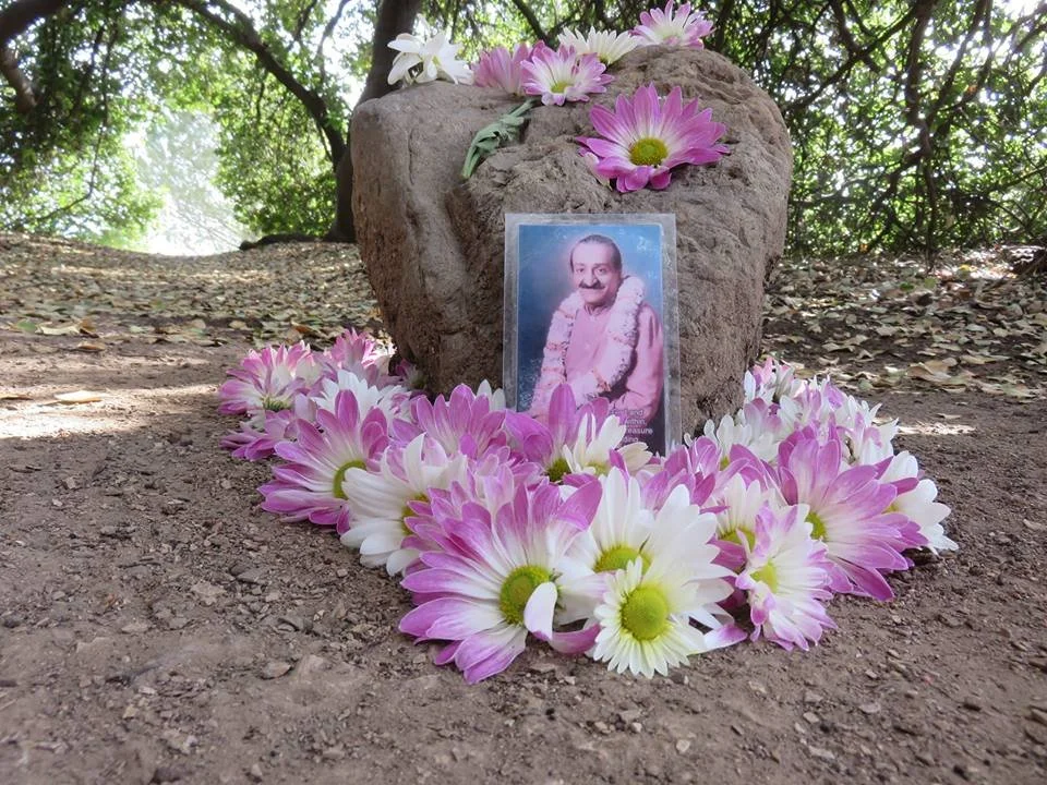 Amartithi Open House 2025 — Meher Mount