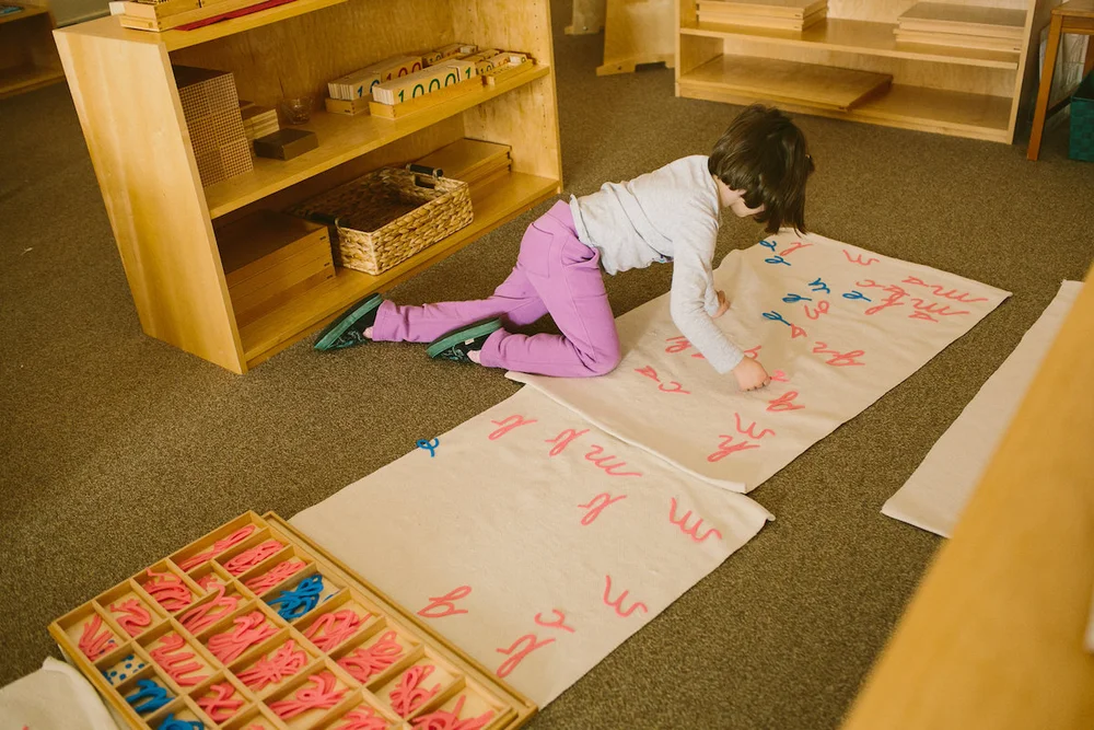 A Montessori Mini-Dictionary | Hollis Montessori School, NH