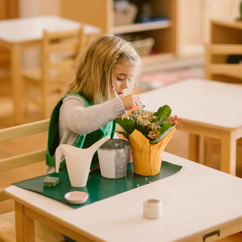 Plant Care: Practical Life Meets Science | Hollis Montessori School, NH