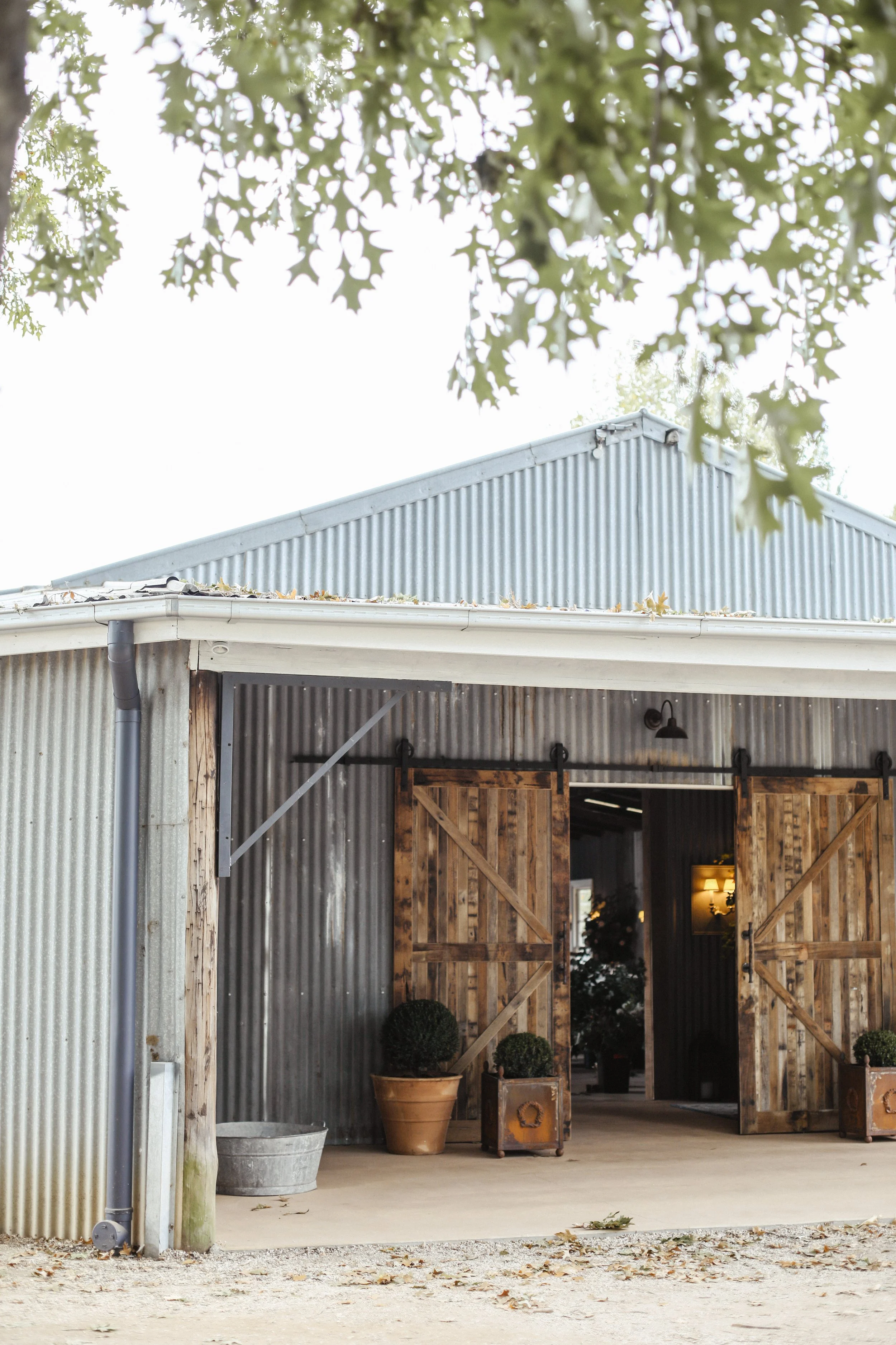 CADELLA PARK. — Prunella