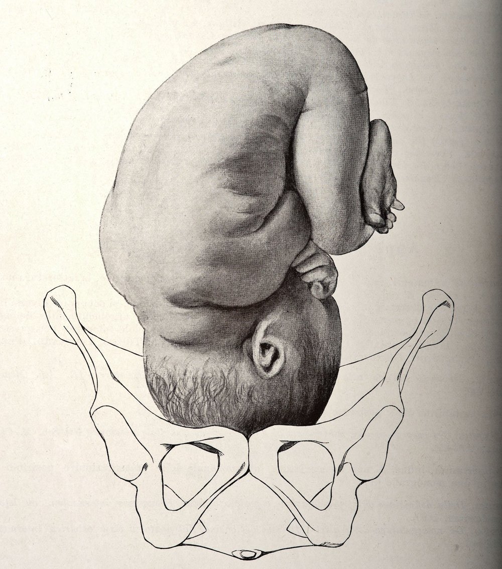 Sacred Birth Services