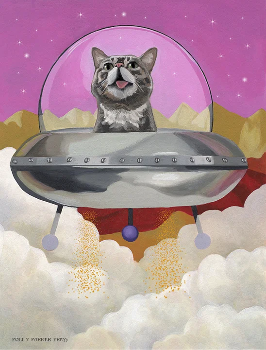 Lil Bub In Space