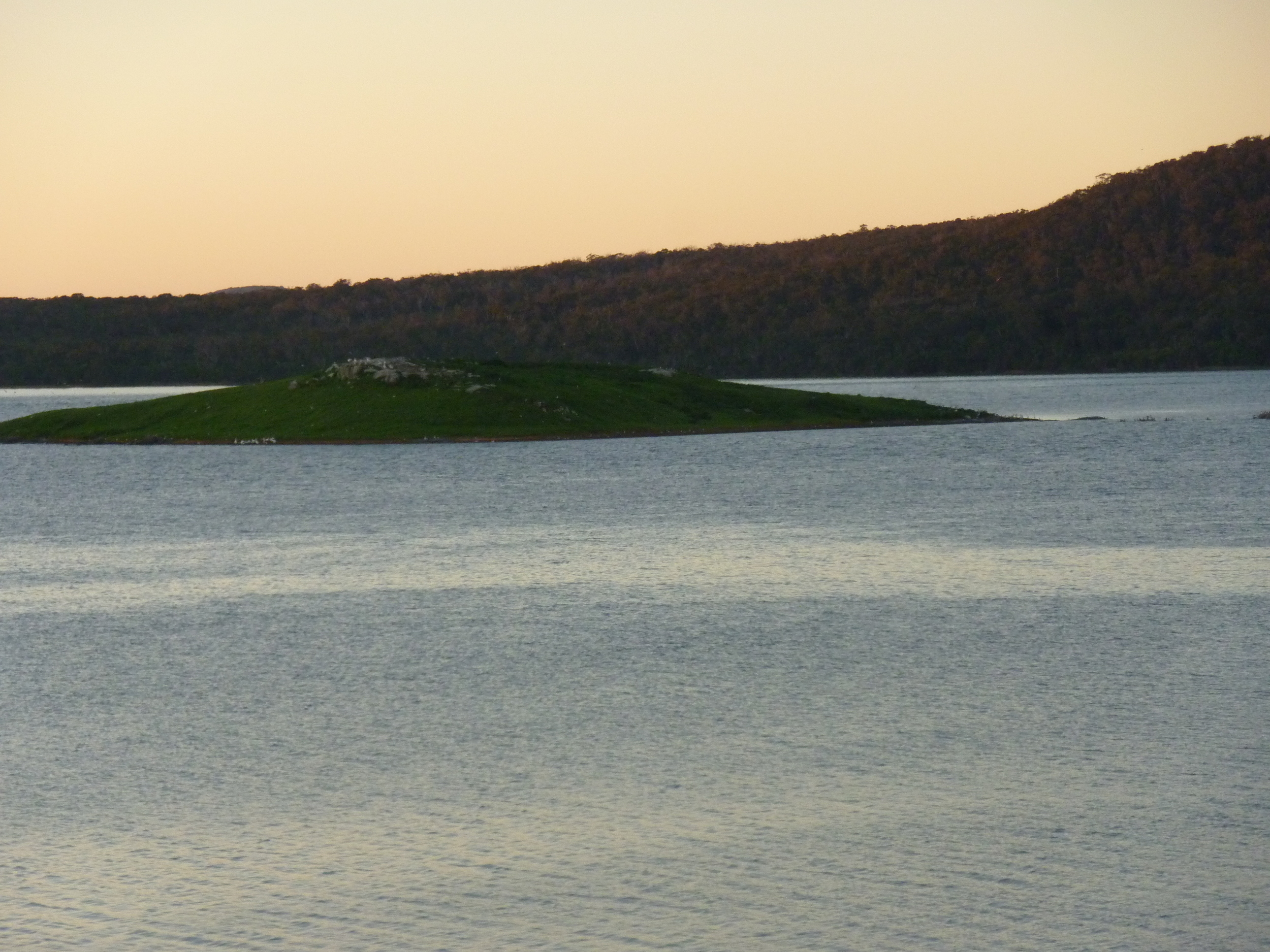 Bayonet Head — Albany Region