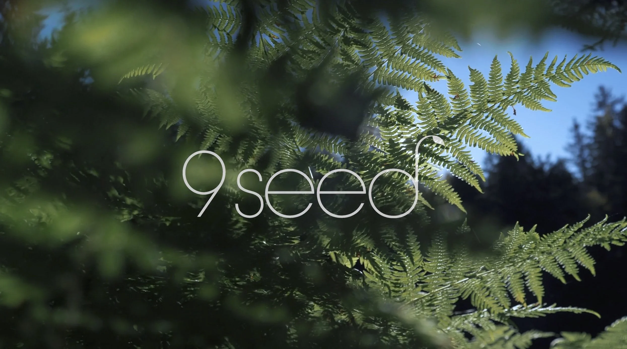 9seed | Official Online Store