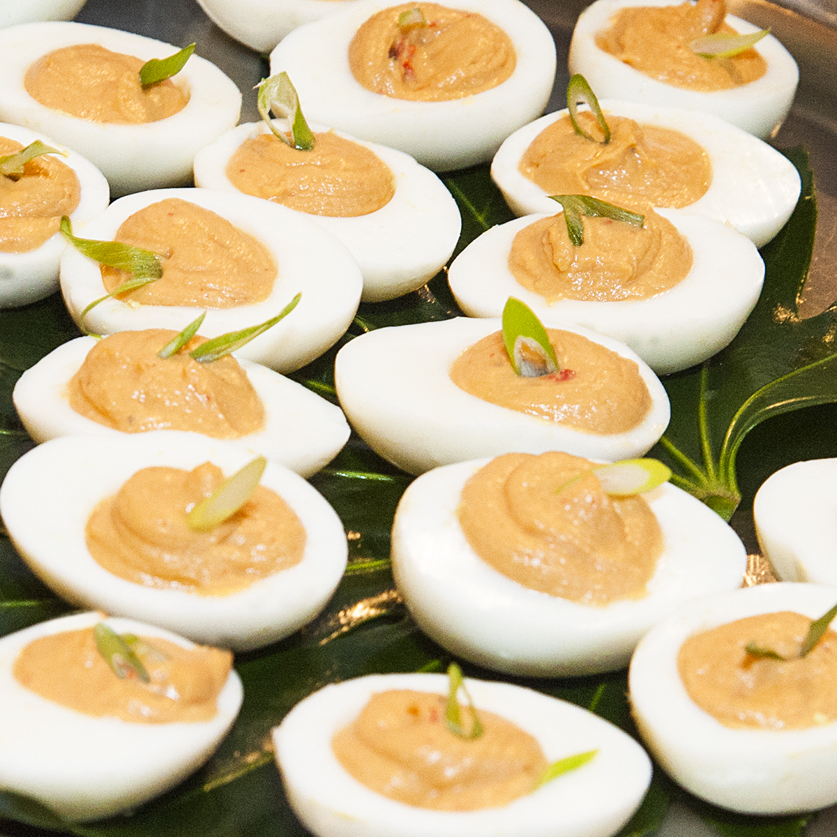 PRIVATE PARTIES & EVENTS — Brasserie Provence