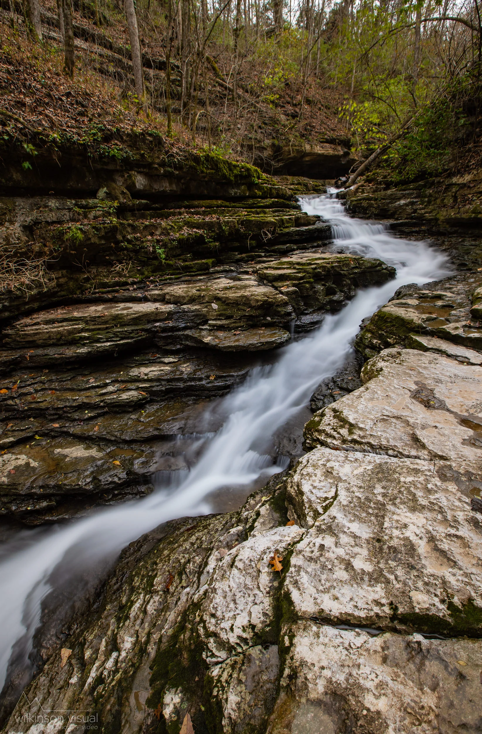 Photo Gallery: 2018 Kentucky Waterfalls — Wilkinson Visual Photography ...