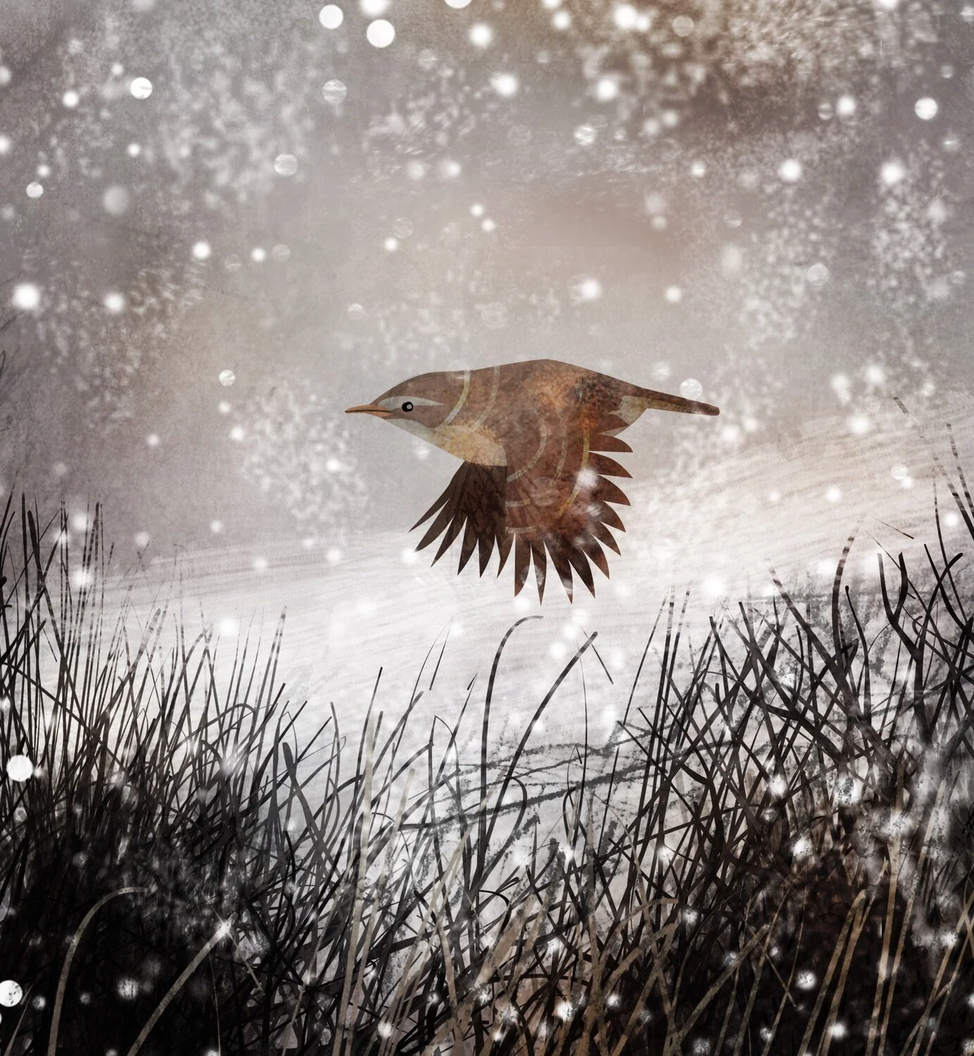 Dutch Uncle - Representing - Dermot Flynn