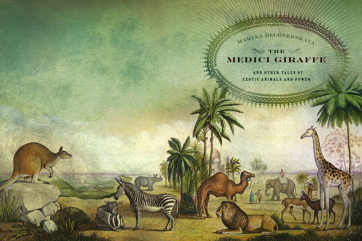 Dutch Uncle - Marc Burckhardt