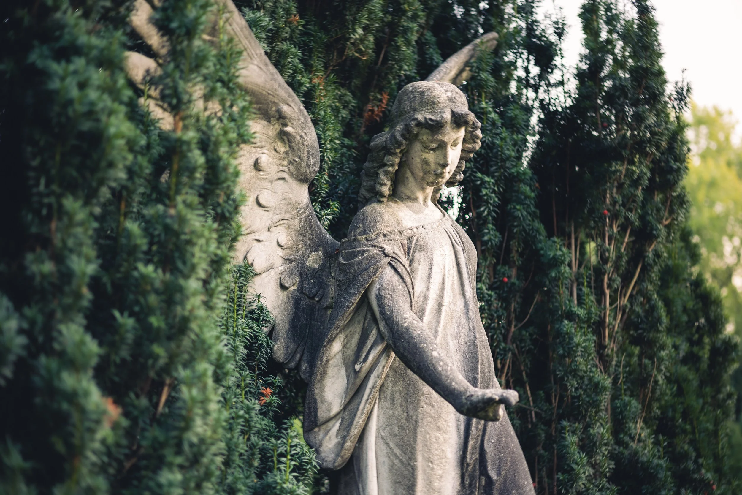 How Devotion to the Holy Angels Has Revitalized My Spiritual Life ...