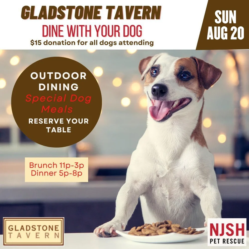 Gladstone Tavern—Dine with Your Dog Dinner, Celebrate Dogust!