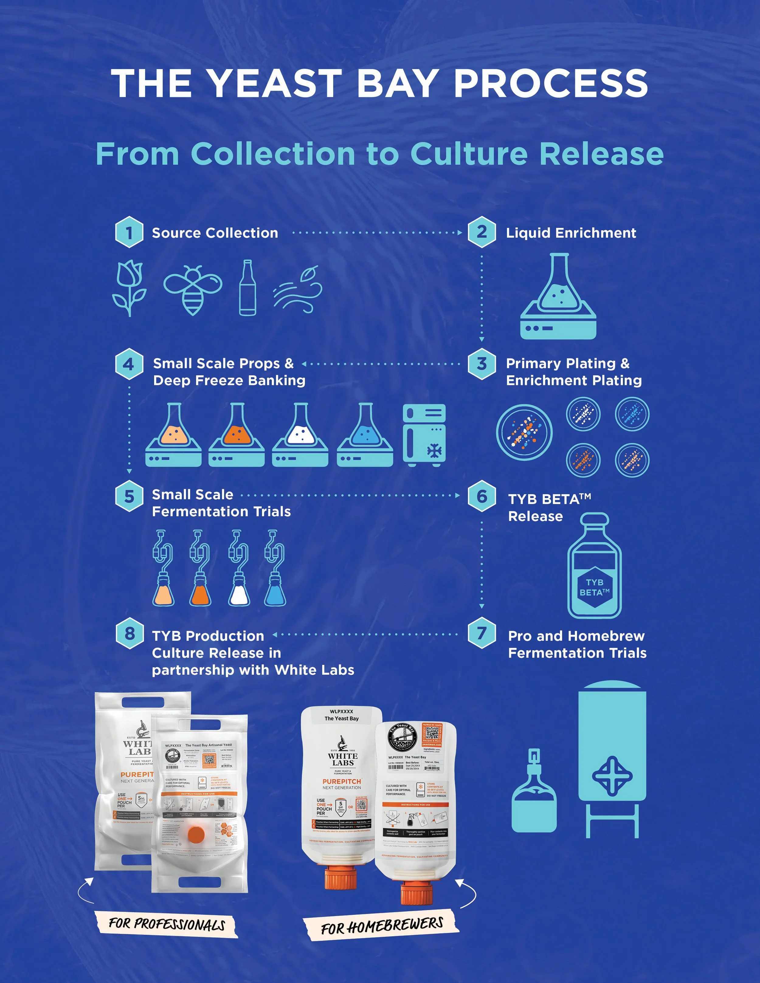 TYB BETA™ — The Yeast Bay