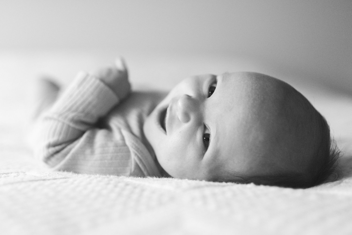 Anna Carson DeWitt Photography