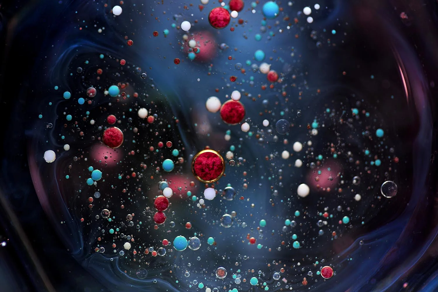 Synthesis — EMILY BOWERS