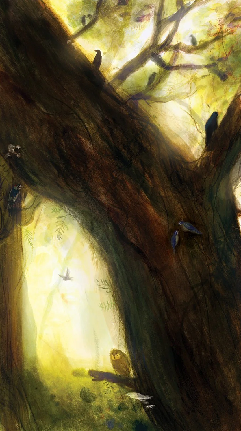 portfolio — EMILY BOWERS