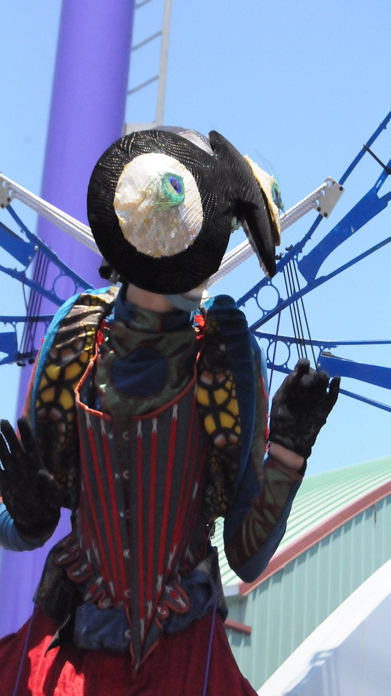 Dragonfly — Stilt Show