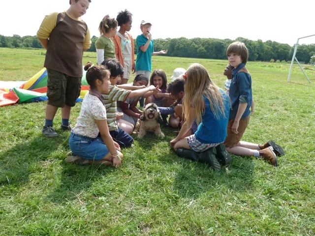 Dagelijks op de set van Mees Kees 2 — Catvertise