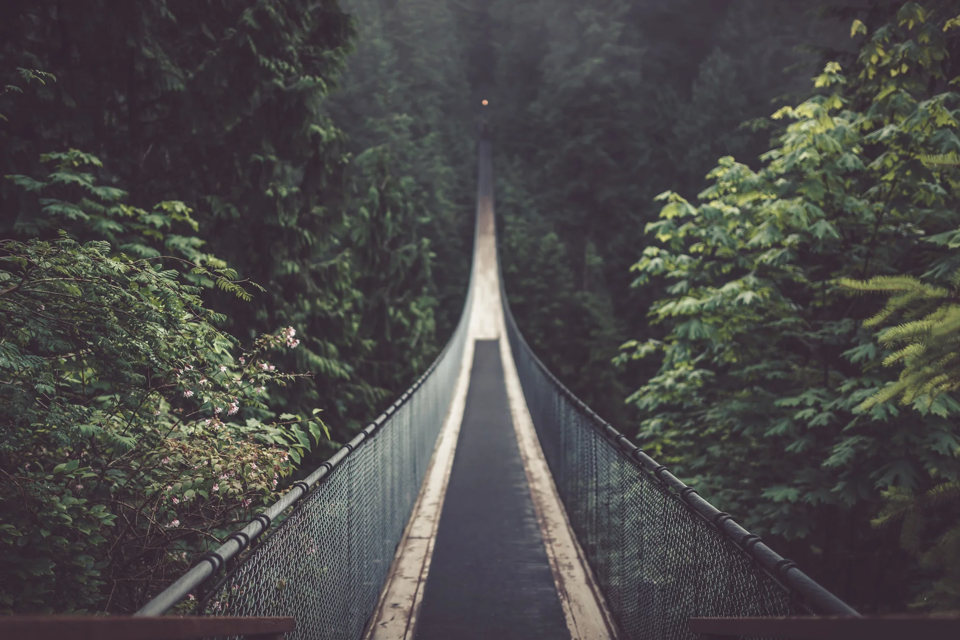 1 Point Perspective Photography Bridge