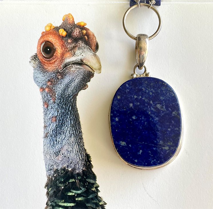 Collections — Susan Goodwin