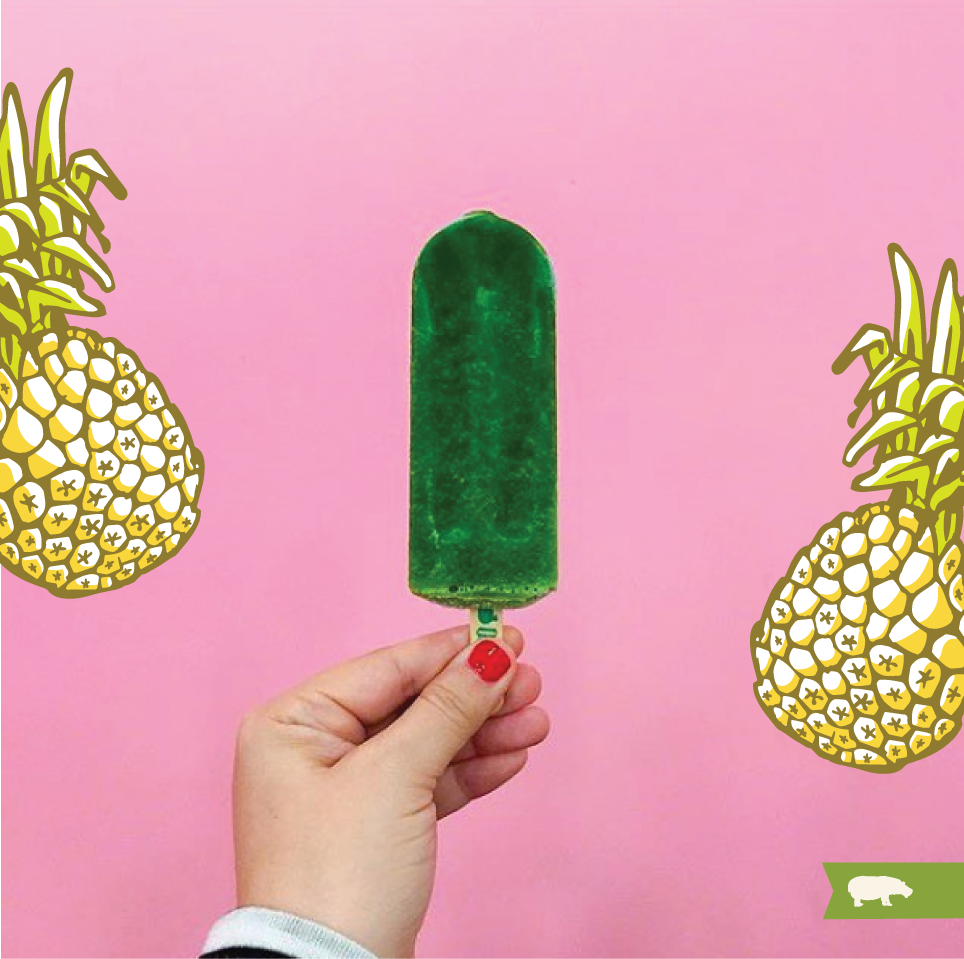 The Hyppo Gourmet Ice Pops