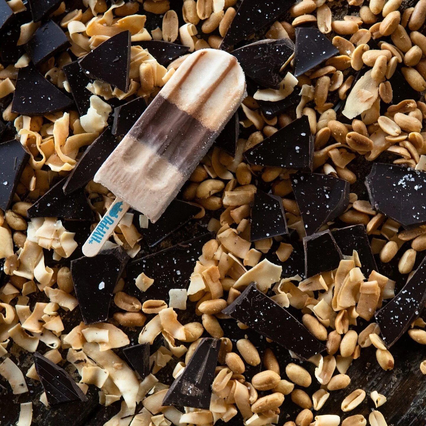 POP Culture — The Hyppo Gourmet Ice Pops