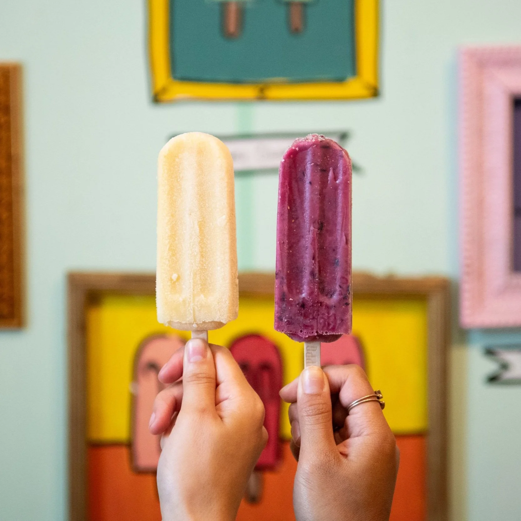The Hyppo Gourmet Ice Pops