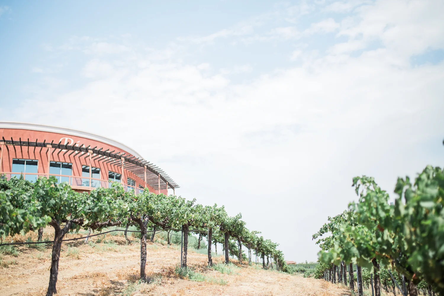 temecula destination wedding at falkner winery / megan + jamie ...