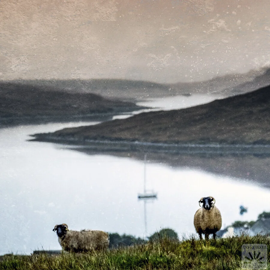 Arty Farty — Ecosse Encaustics