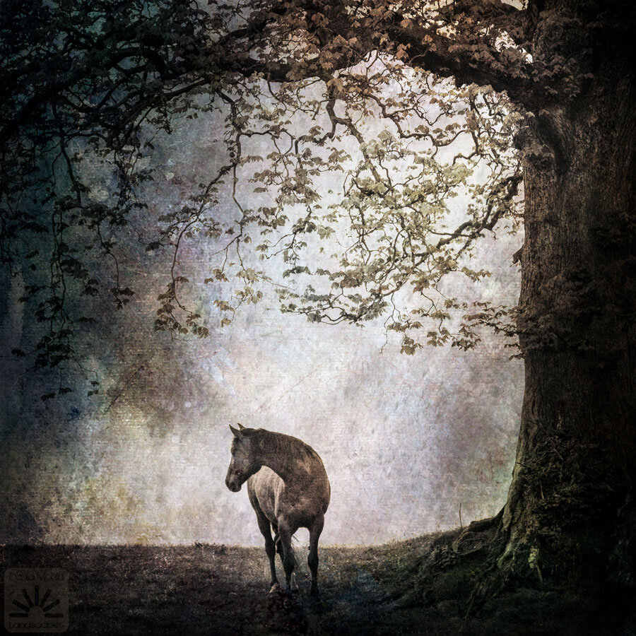 Arty Farty — Ecosse Encaustics