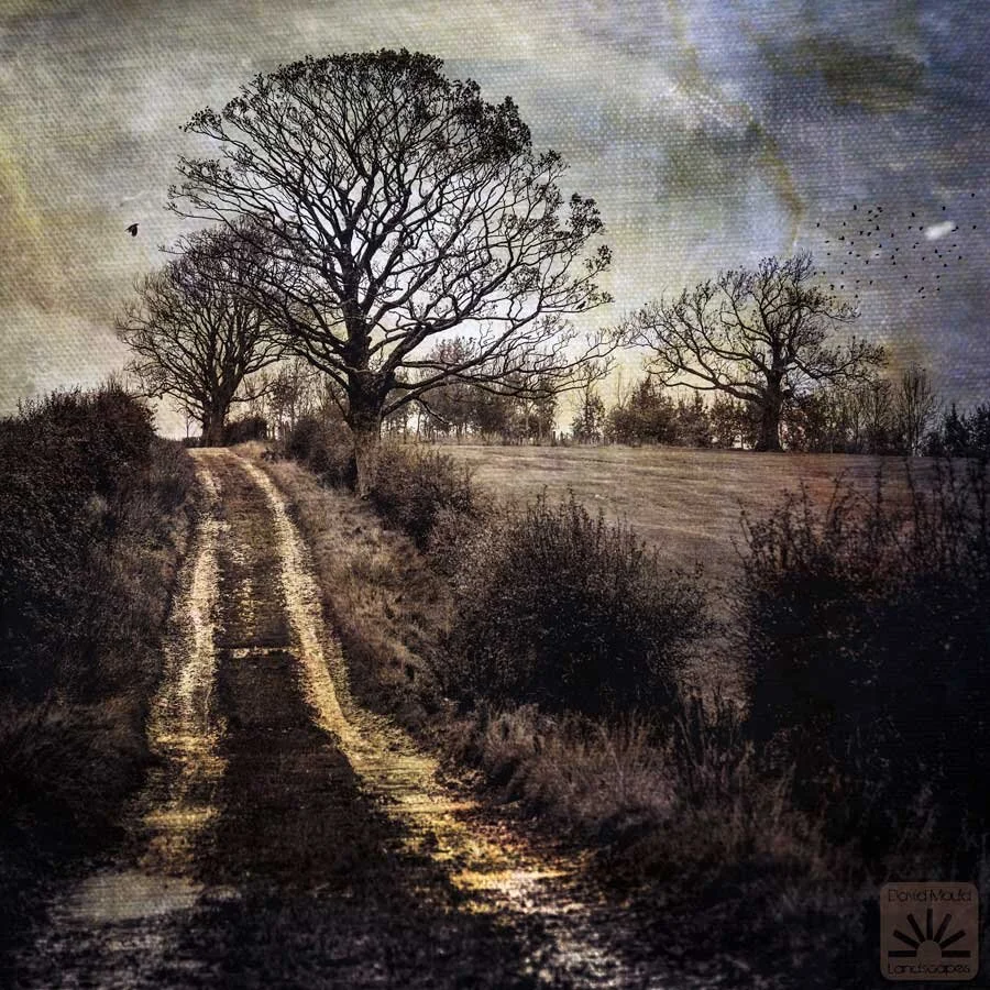 Arty Farty — Ecosse Encaustics