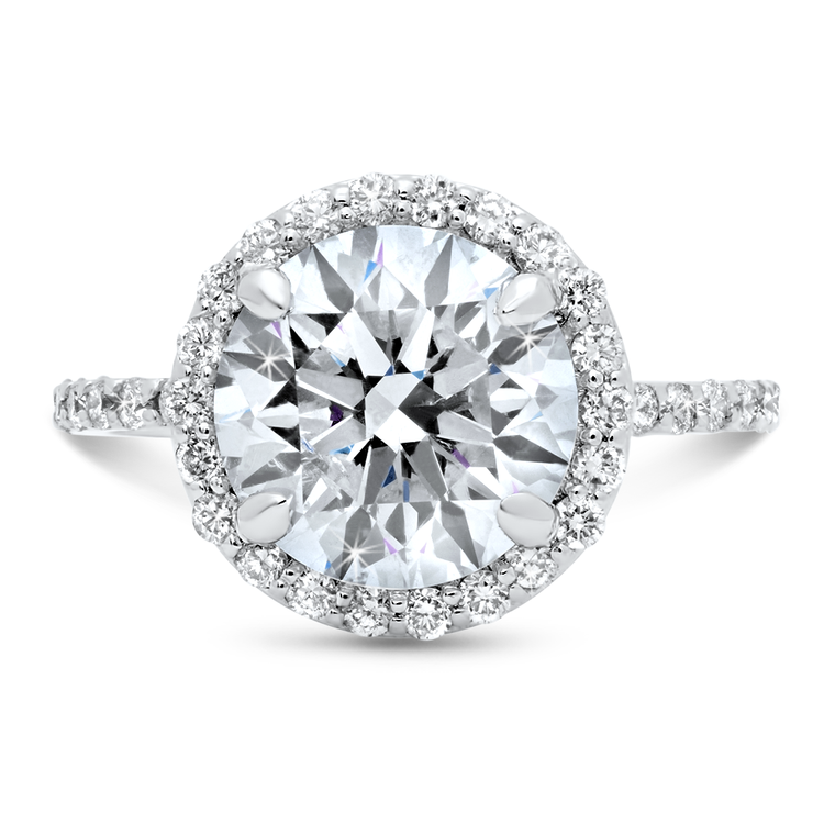 Fine Jewelry, Born in the Tropics