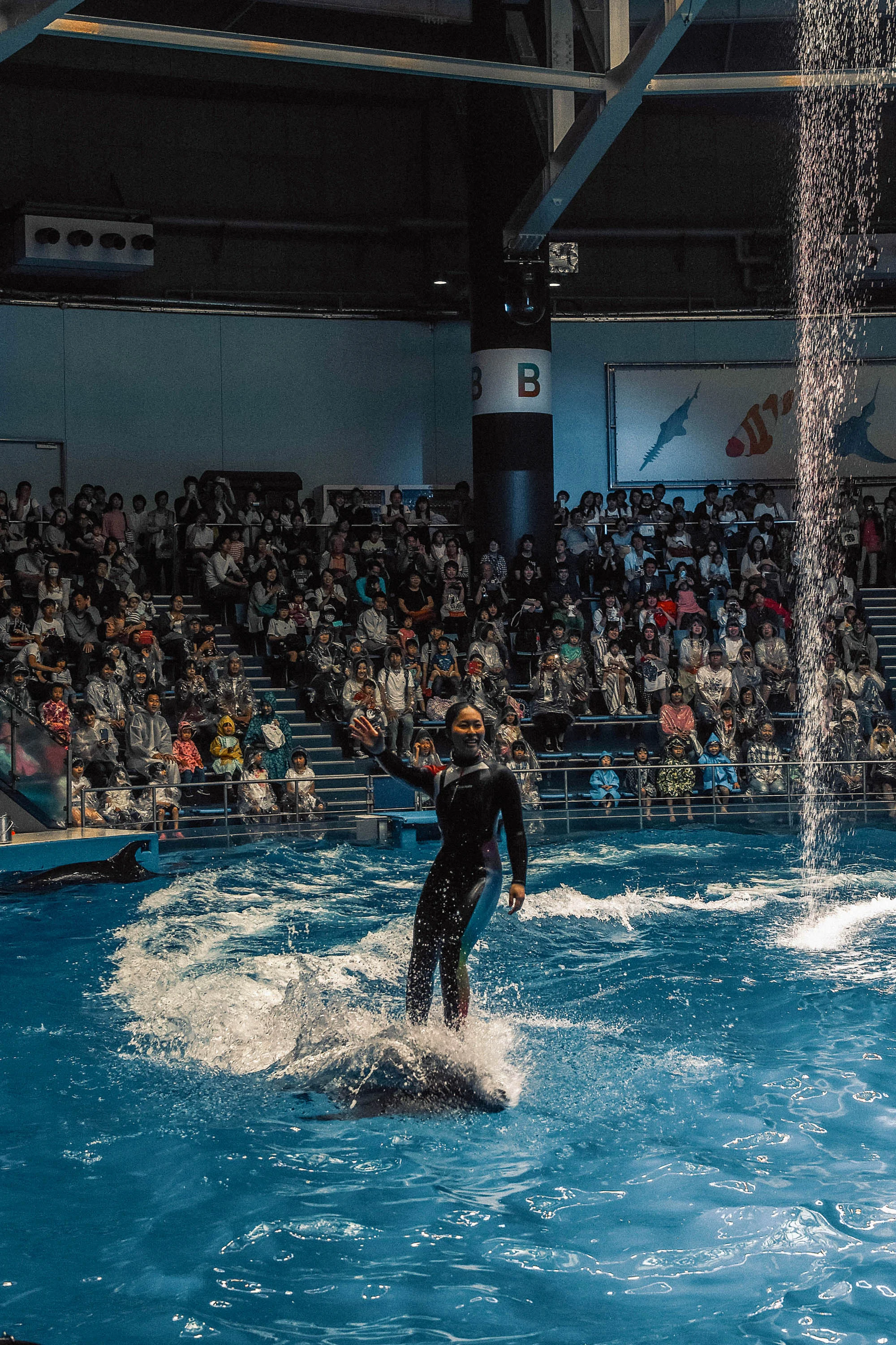 Japan Trip: Part 2 — Alise Carter