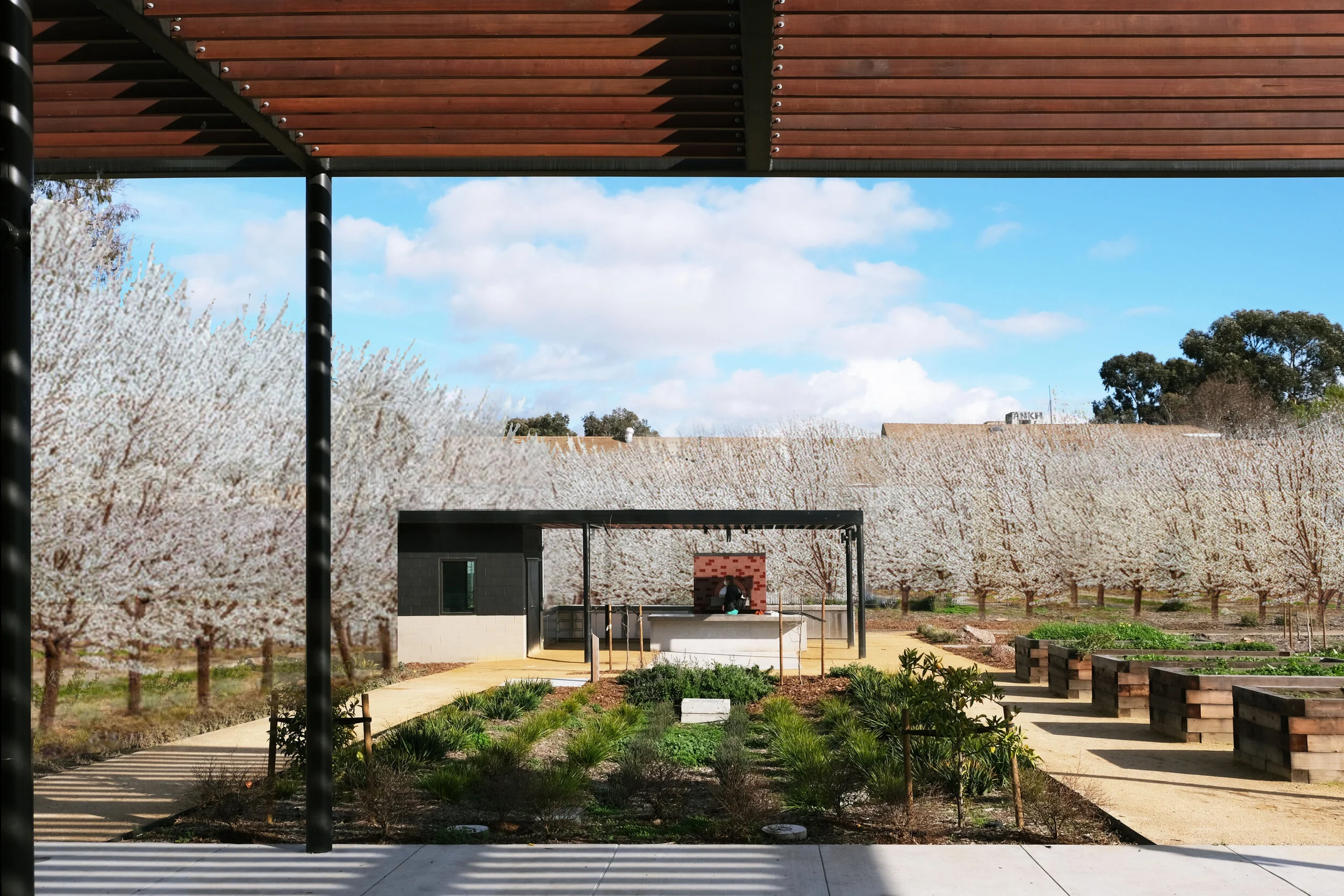 Community + Nature Centers — BAY TREE DESIGN