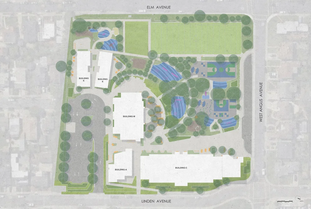 Allen Elementary — BAY TREE DESIGN