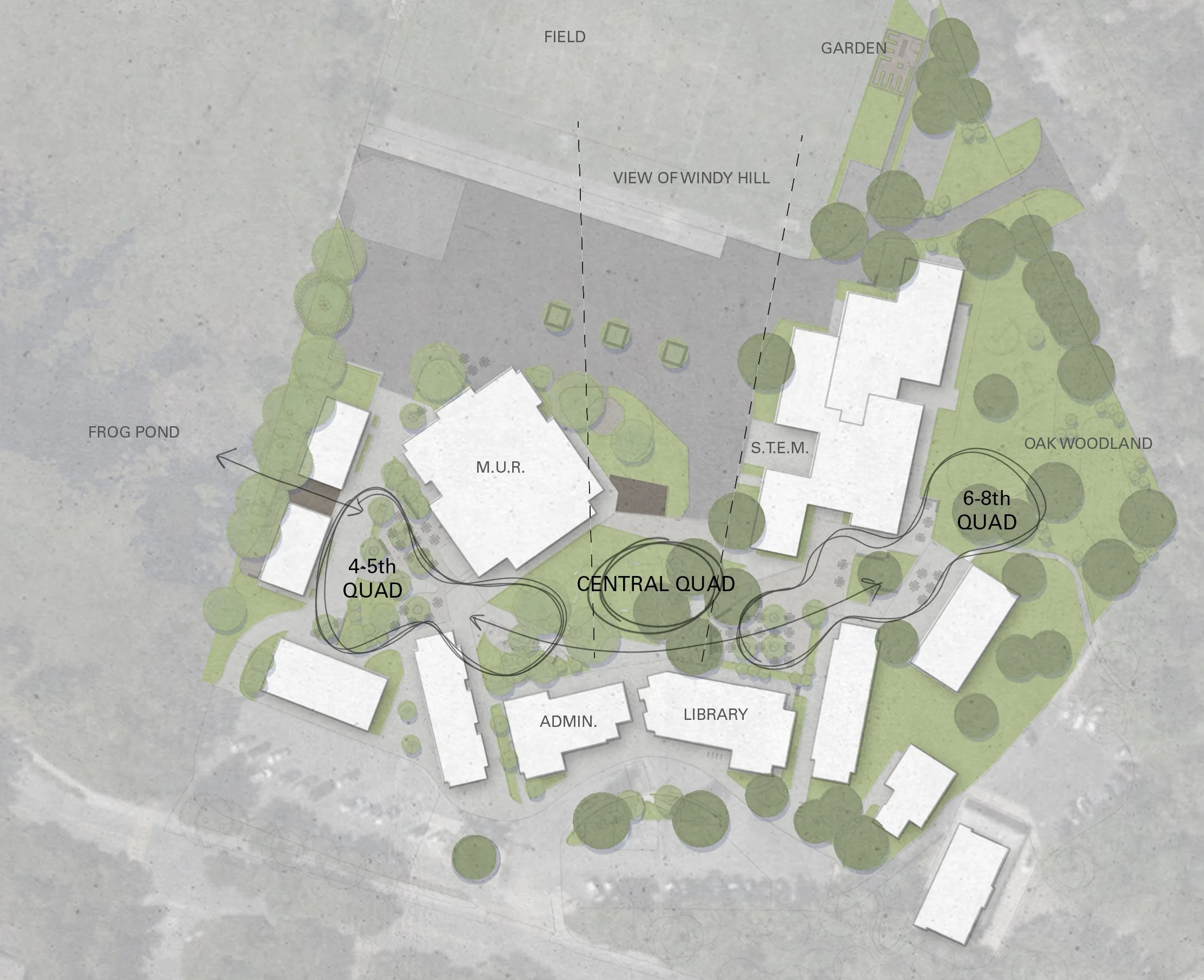 PVSD Corte Madera — BAY TREE DESIGN