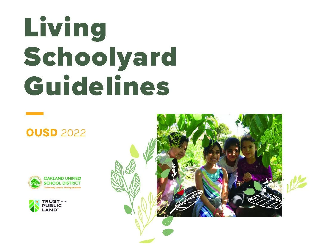 OUSD Design Guidelines — BAY TREE DESIGN