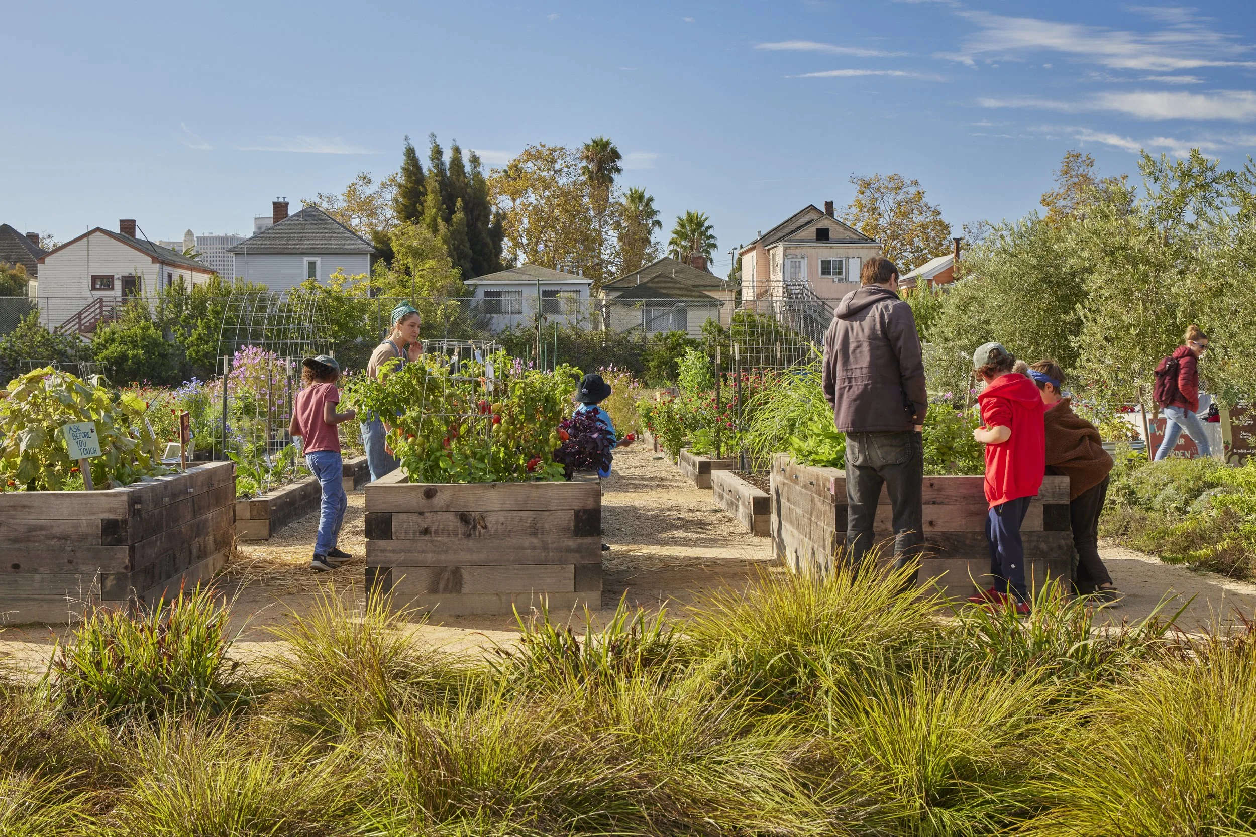 OUSD "The Center" — BAY TREE DESIGN