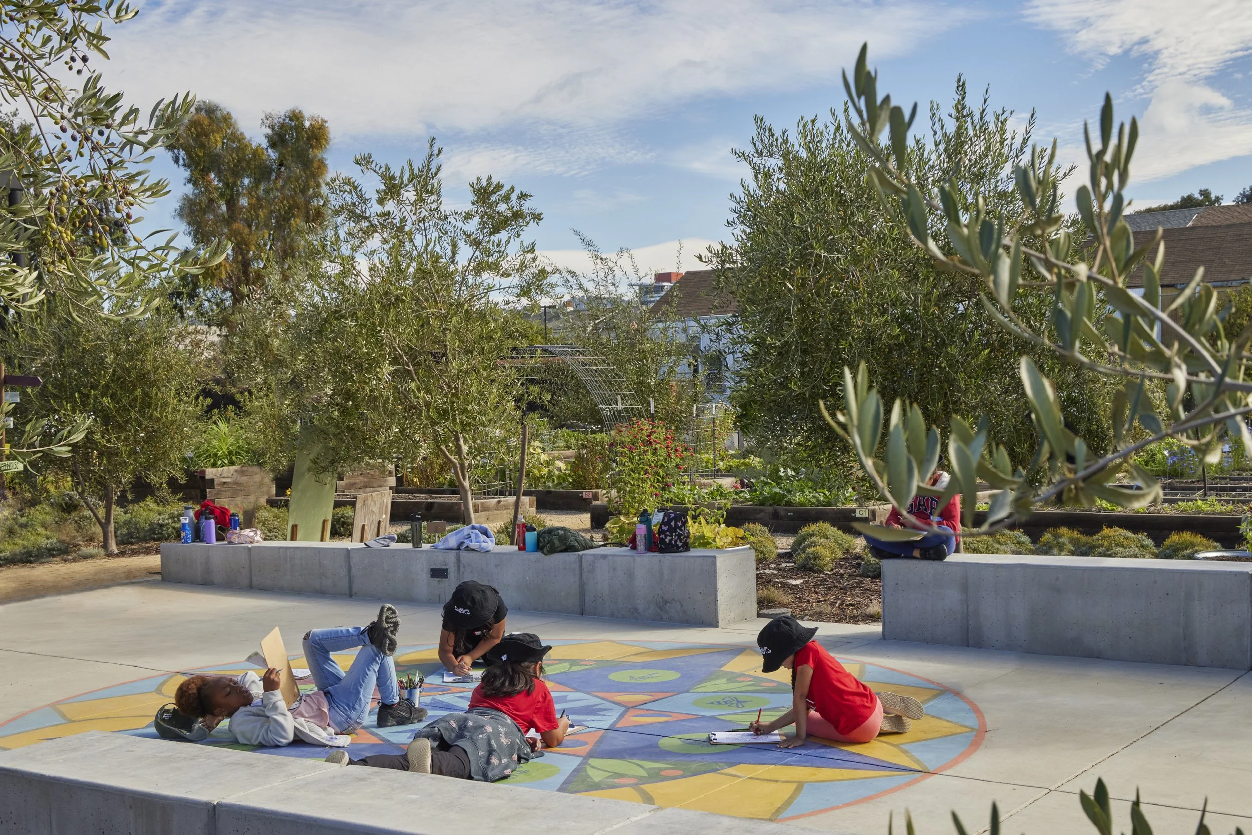 OUSD "The Center" — BAY TREE DESIGN