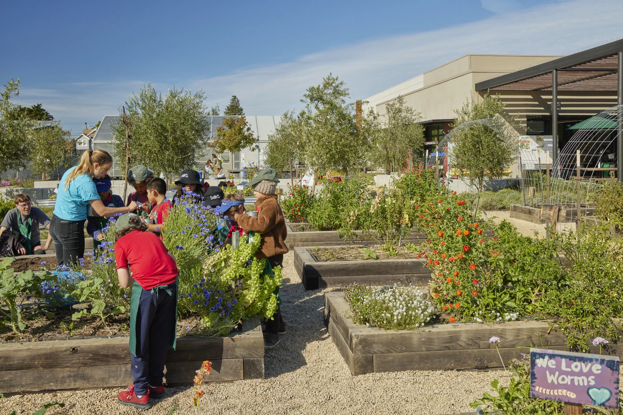 OUSD "The Center" — BAY TREE DESIGN