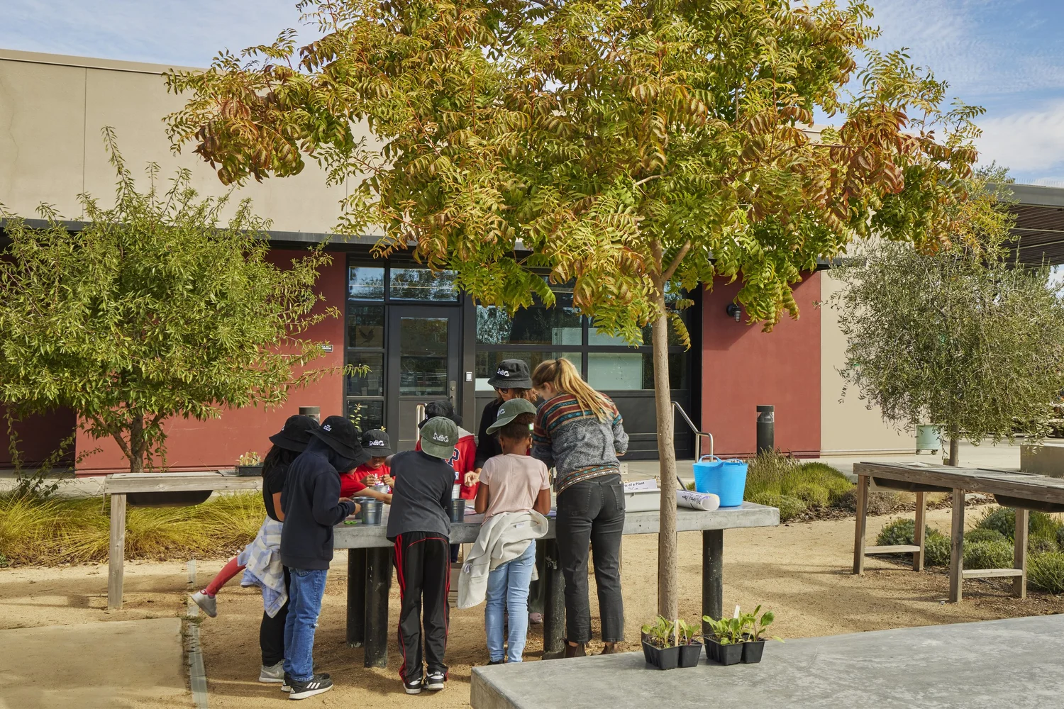 OUSD "The Center" — BAY TREE DESIGN