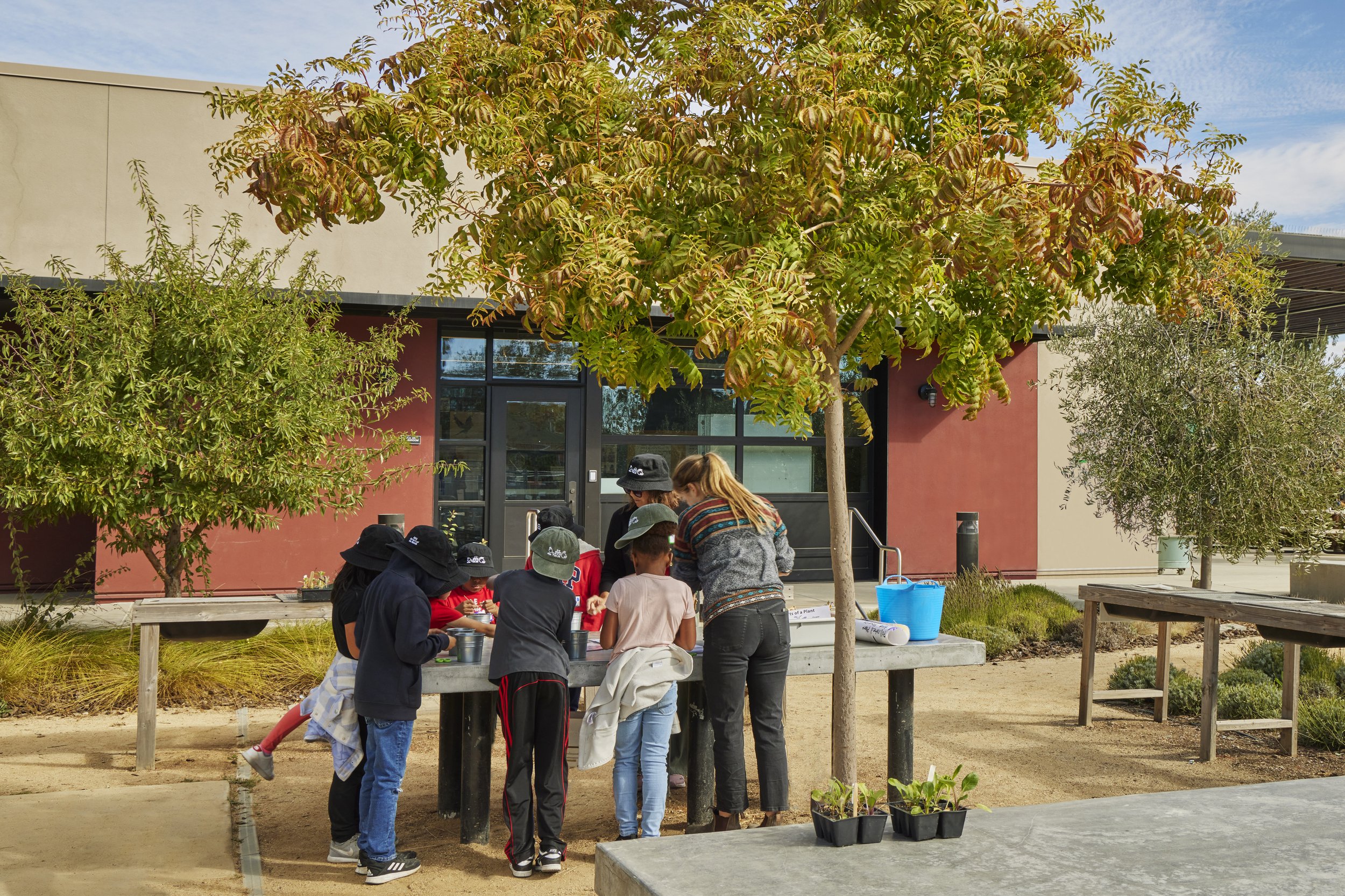 OUSD "The Center" — BAY TREE DESIGN