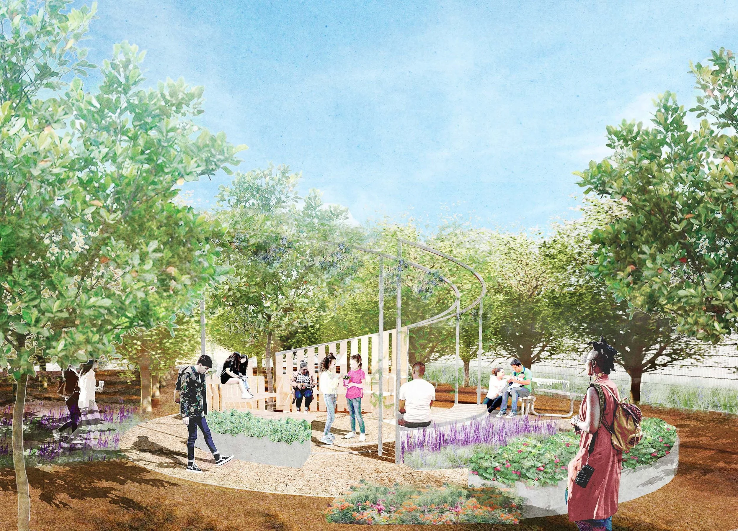 Community + Nature Centers — BAY TREE DESIGN