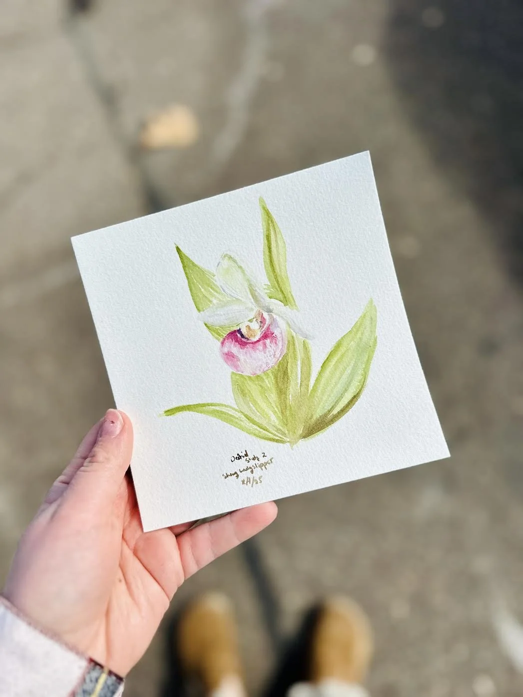 Classes/Registration — Frederic Arts