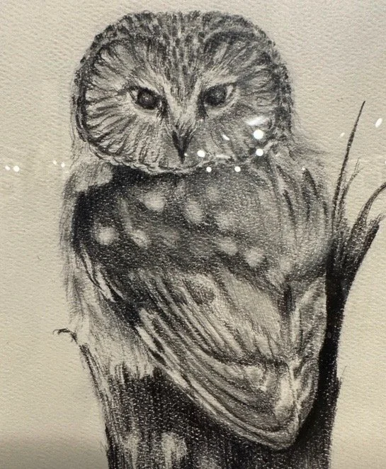 Classes/Registration — Frederic Arts