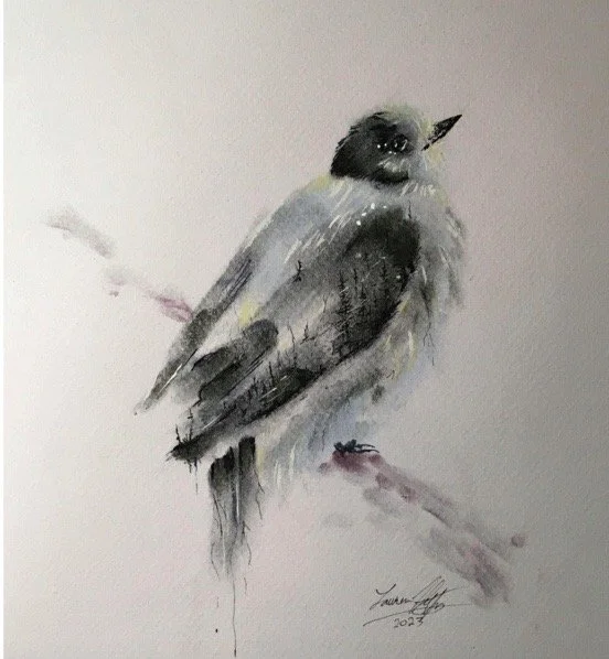 Classes/Registration — Frederic Arts